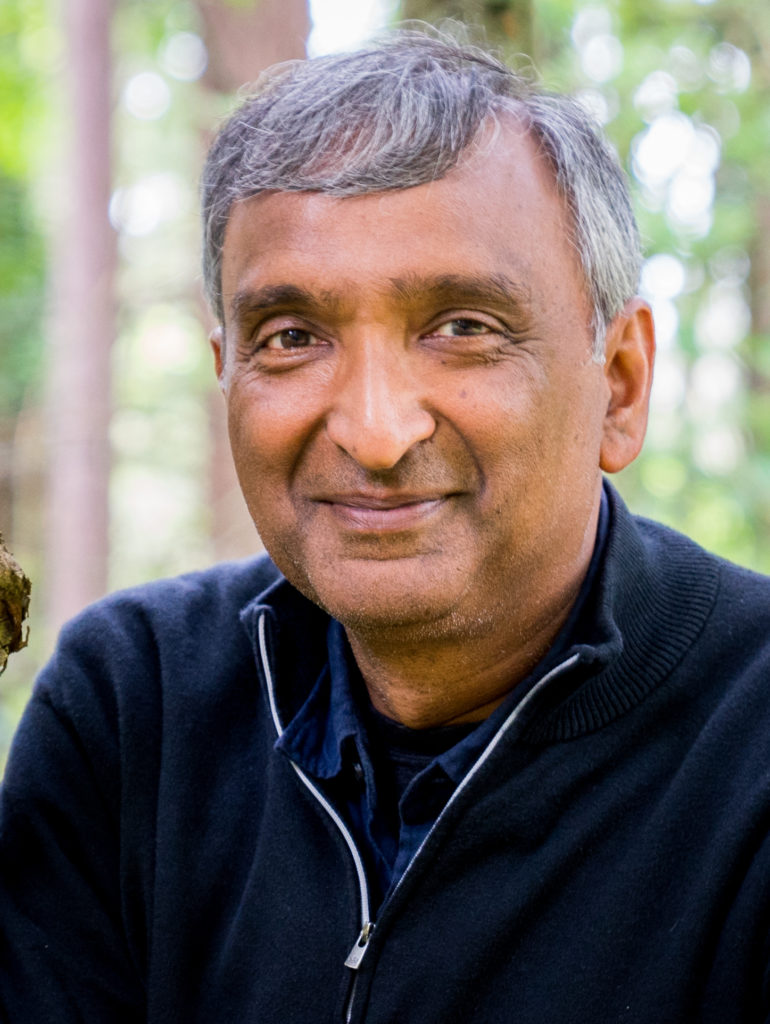 Intelligent Application Leaders Share Advice